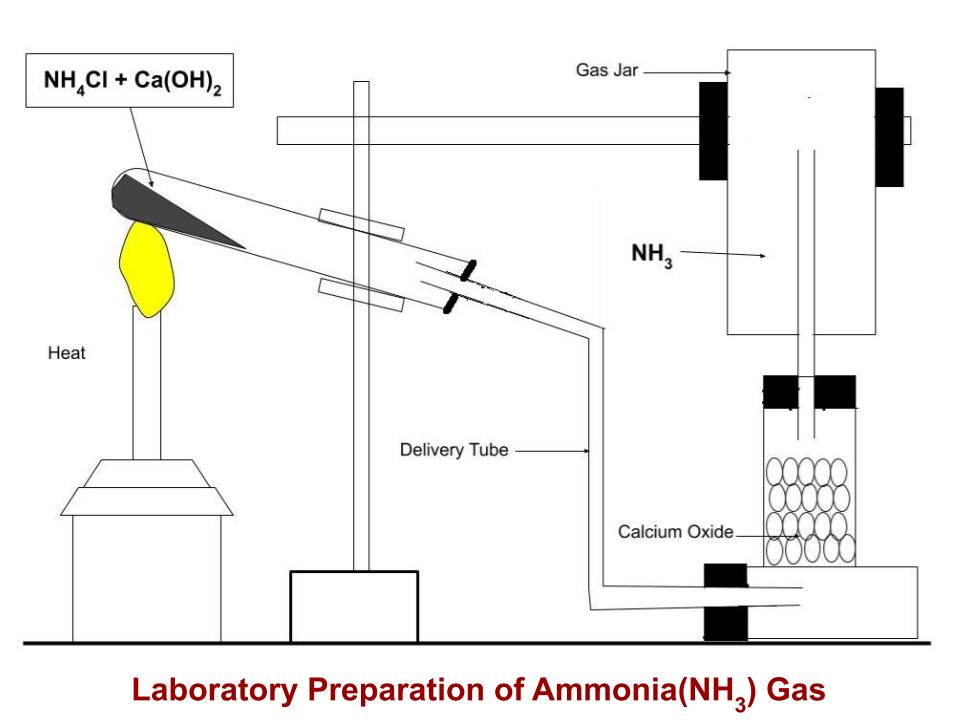 Draw a diagram of laboratory preparation of ammonia gas and label any ...