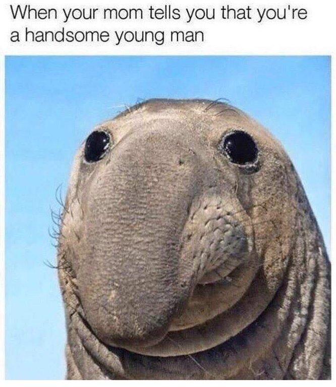 When Your Mom Tells You That You re A Handsome Young Man when-your-mom-tells-you-that-you-re-a-handsome-young-man