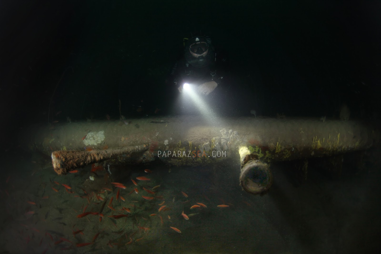 52 years later, Skyraider plane wreck is a delight to dive... its in ...