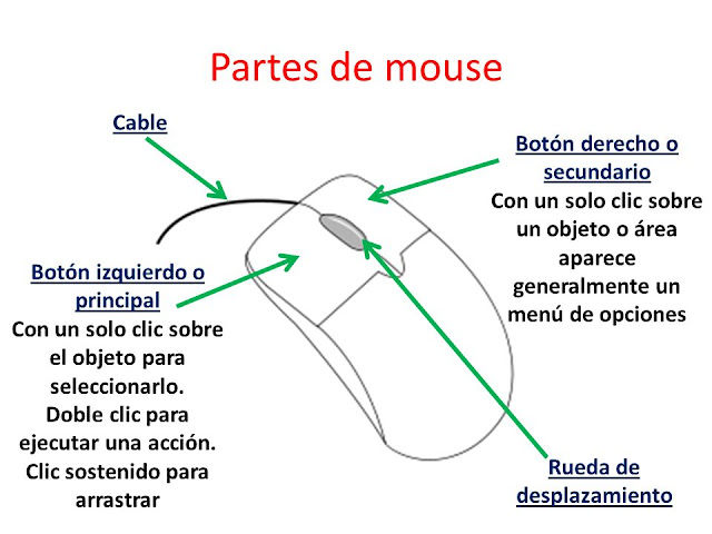 S E G U N D O: Semana 8