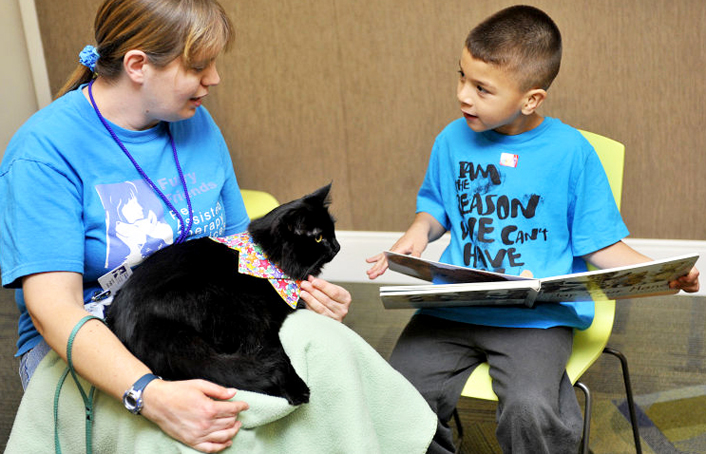 GLOGIRLY: 3 Helping Hero Therapy Cats Making a Difference