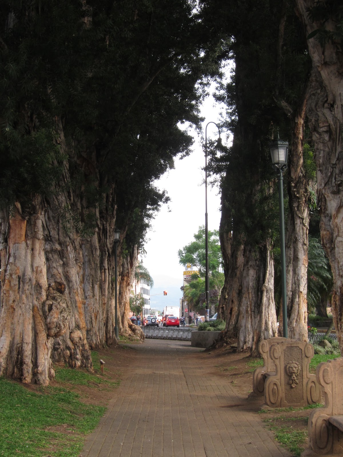 Costa Rica Mae !!!: Pura Vida Mae