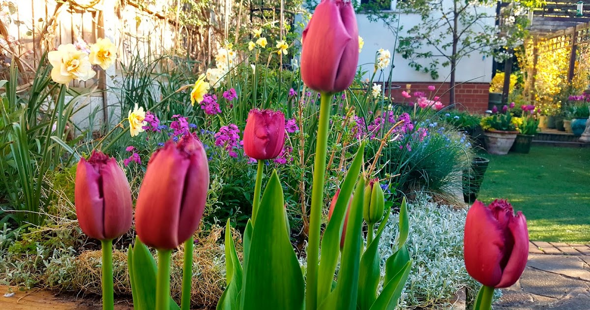 10 on the 10th: Getting Ready for Spring | Is This Mutton?