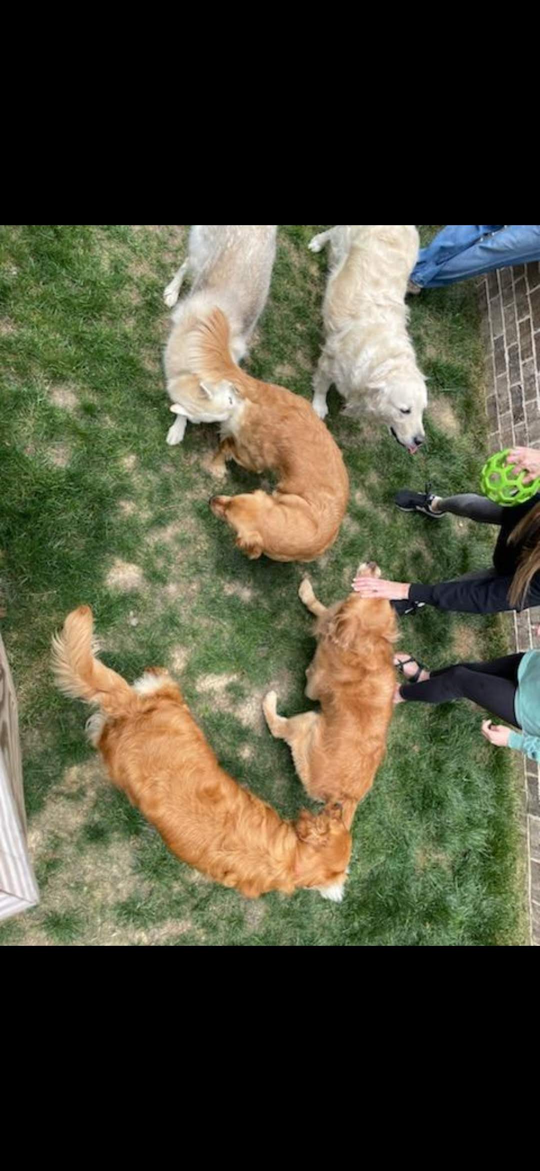 Newest Raborns on the Block!: Lucy Cove Raborn Growth Updates!