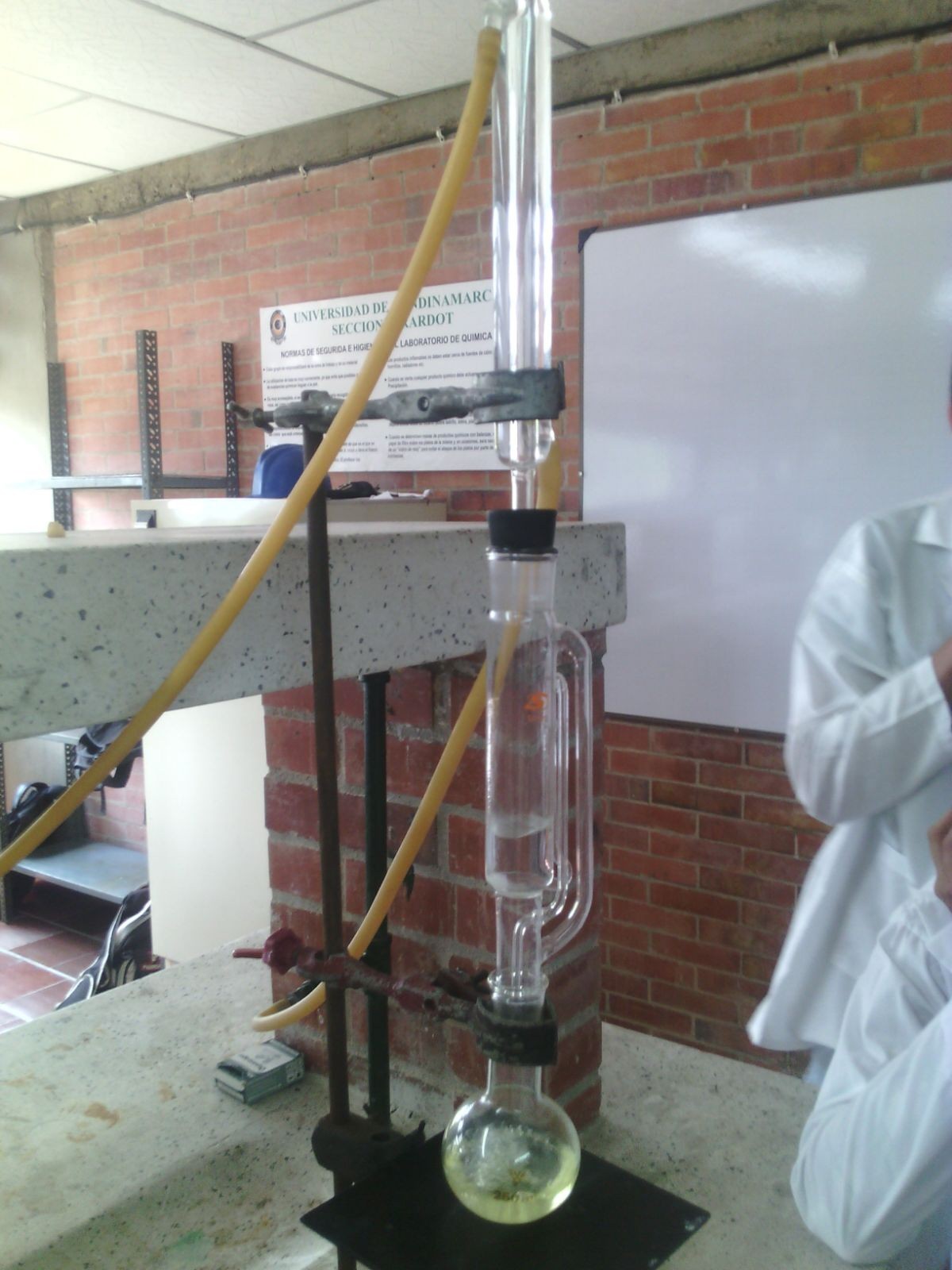 LABORATORIO DE BIOQUÍMICA: DETERMINACIÓN DE LÍPIDOS EN DIFERENTES MATRICES