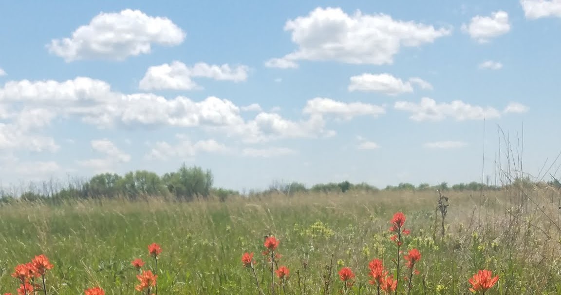 A Spring Prairie Tour