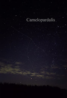 To the Land of Dreams: Camelopardalis