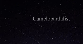 To the Land of Dreams: Camelopardalis