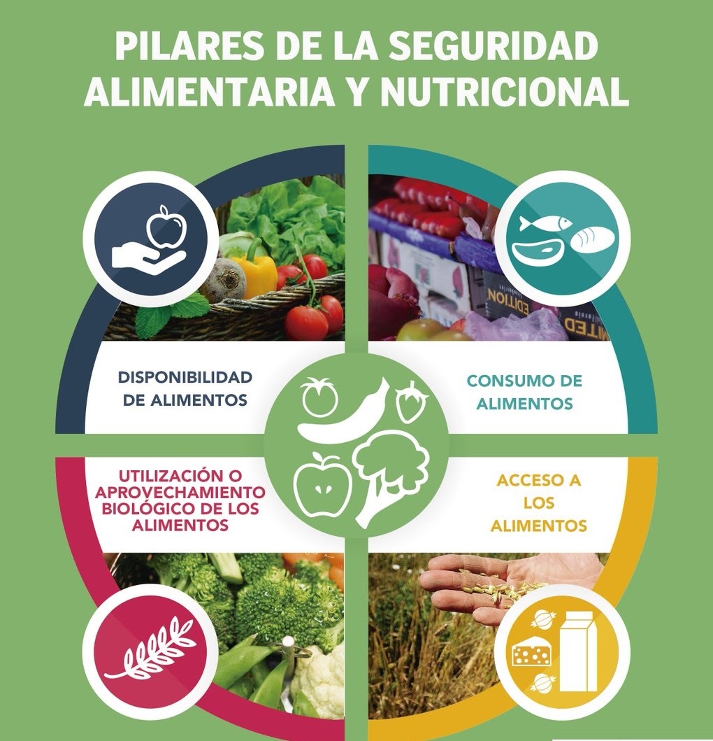 Seguridad Alimentaria Orientada a la Nutrición