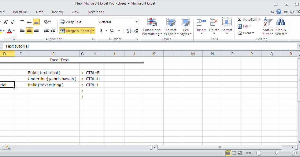 Tutorial Excel cara memahami teks Font size fungsi ( Bold, Underline ...