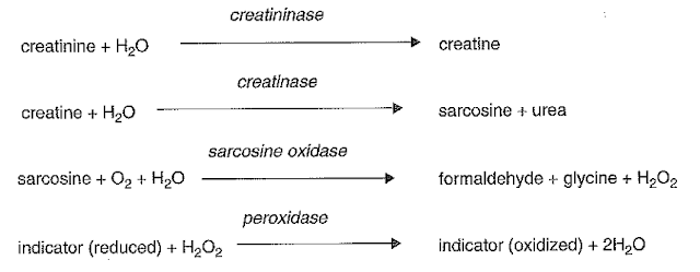 Biochemistry Class notes: Creatinine: Principle of measurement