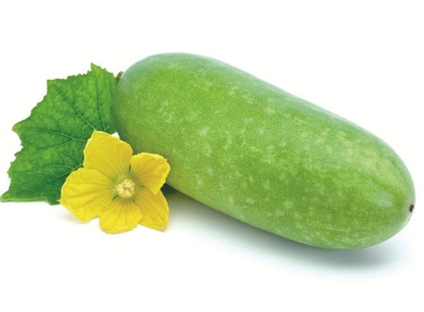 Xóa xăm với bí đao và những điều bạn không tưởng!