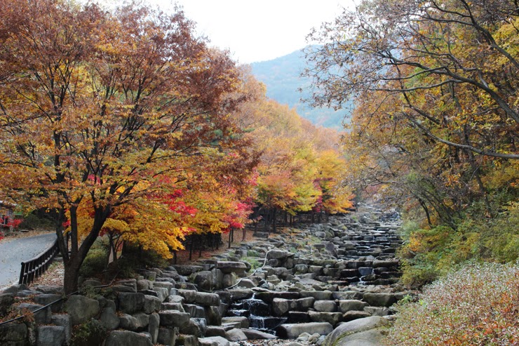 Fun & Free Daegu Travel: Famous spot for healing in Daegu, let’s go to ...