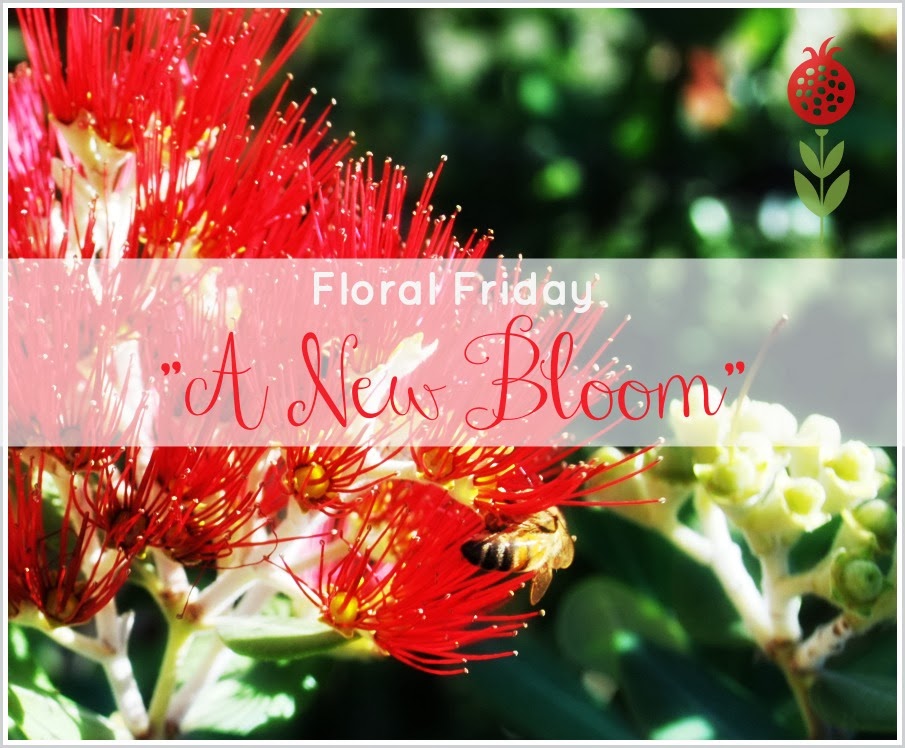 A Little Bit of Quiet: Floral Friday - "A New Bloom"