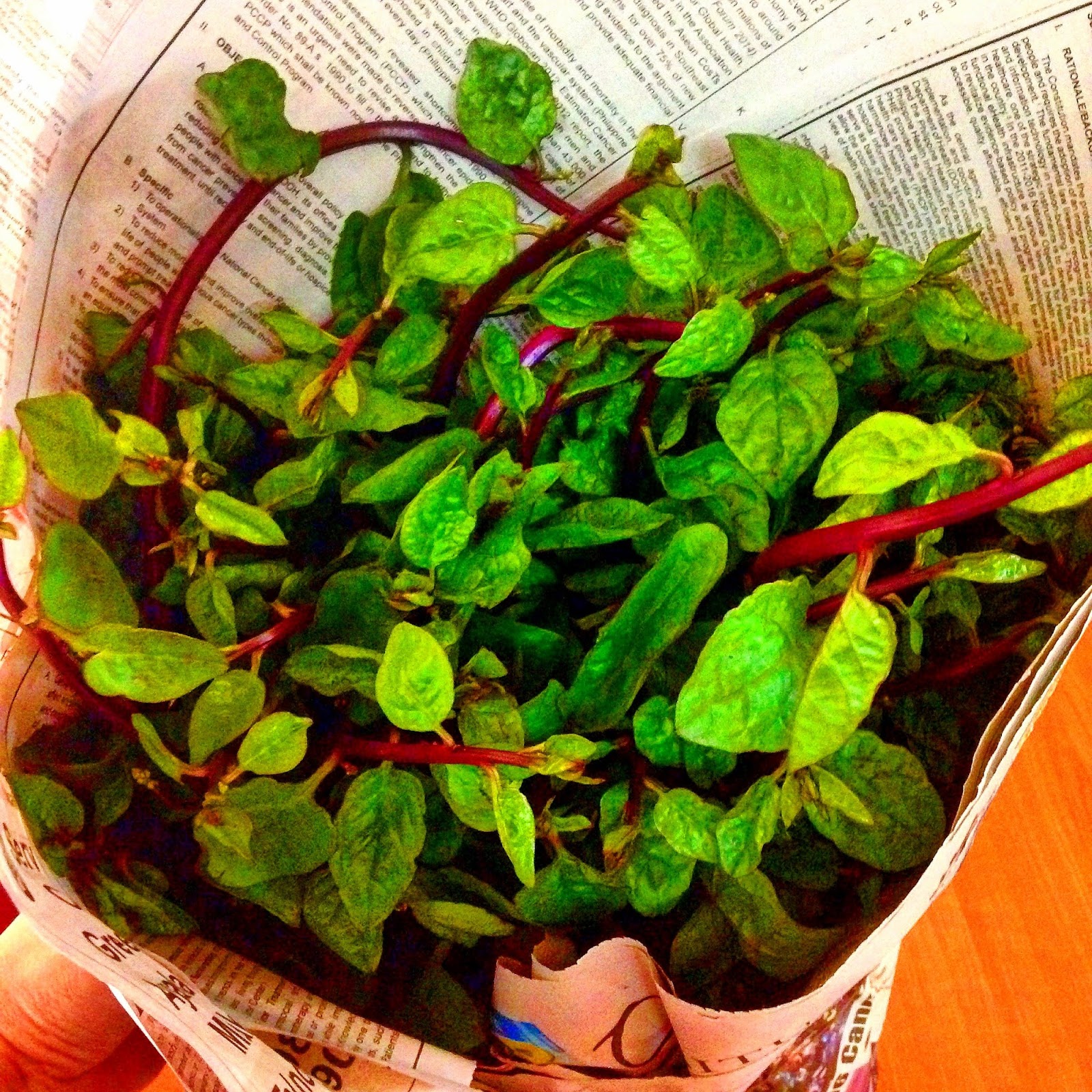 Garden Chef's Needle and Pen