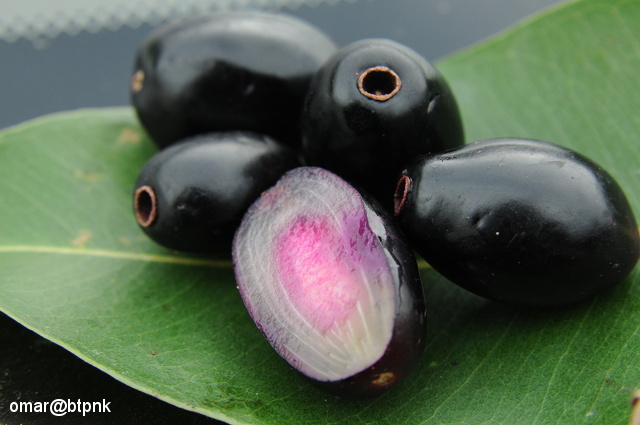 ::HOPE::: I LOVE EXOTIC FRUITS!