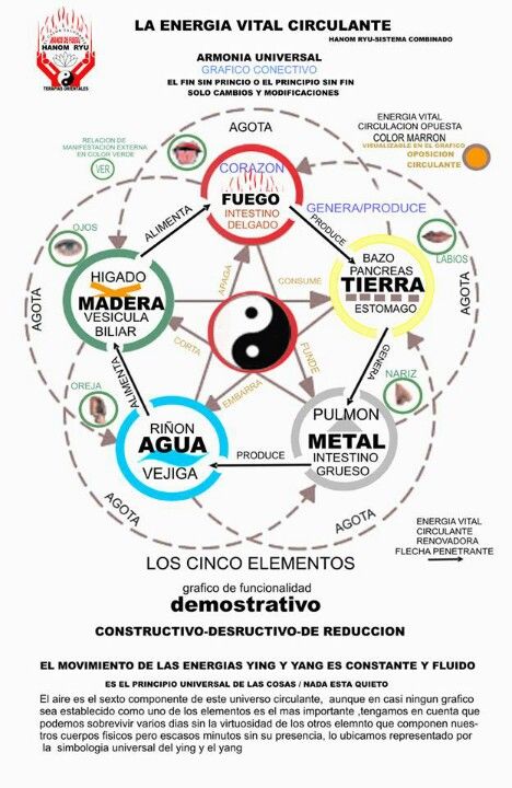 La Salud y la Teoría de los 5 Elementos - Guerrero Espiritual