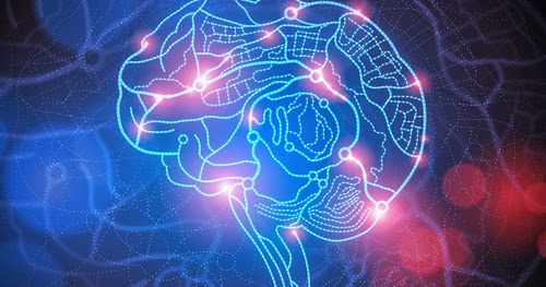 Drug Delivery Blog: Roche creates new 'shuttle system' that helps ...