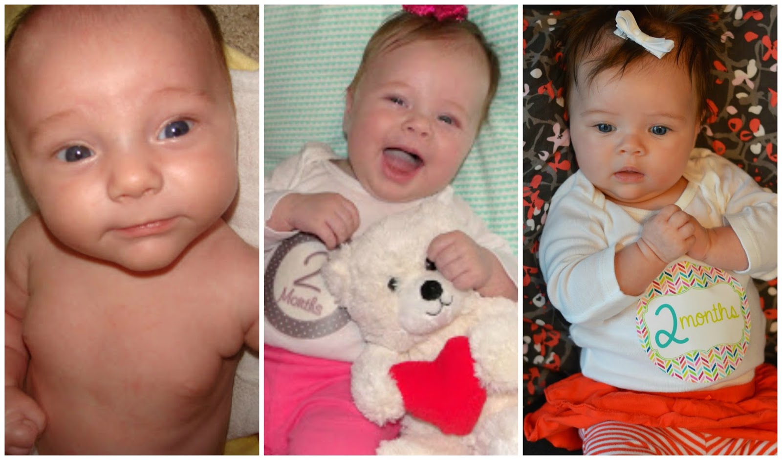 From Birth to 12 Months: A Year's Worth of Summaries - The Journey of ...