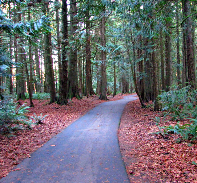 Everything Nanaimo: COLLIERY DAM PARK