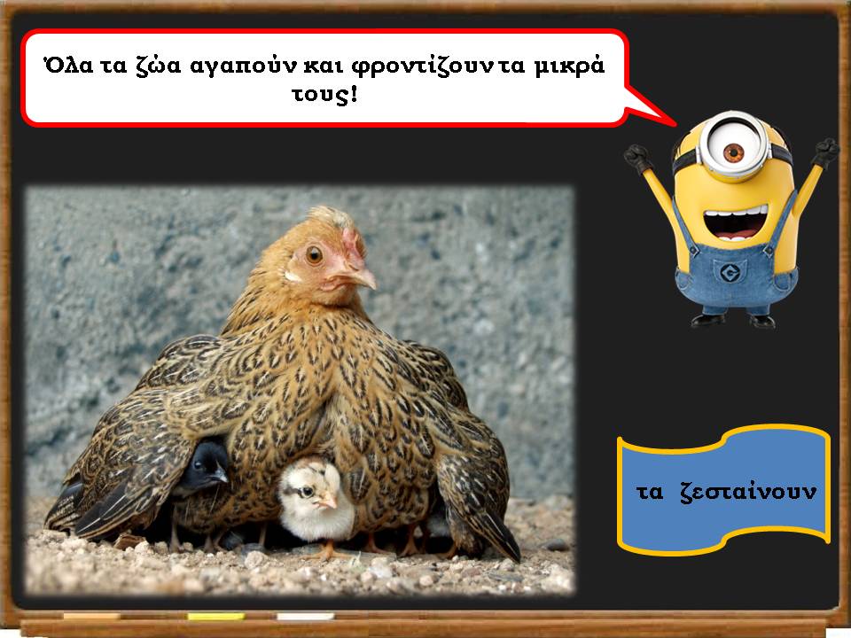 Παίζω και μαθαίνω: ΤΑ ΖΩΑ