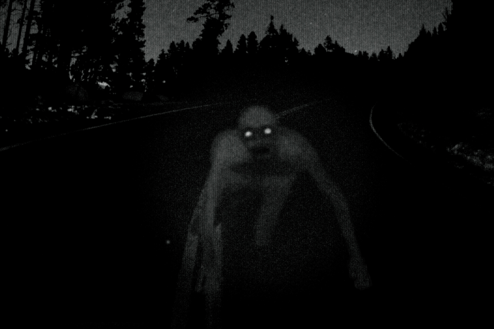 Antrum: The Deadliest Film Ever Made | Full Movie Download - DOWNBEE