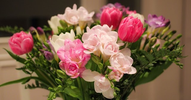 Bunga Freesia Cantik Beraroma Citrus Menghilangkan Galau | Gambar Bunga ...