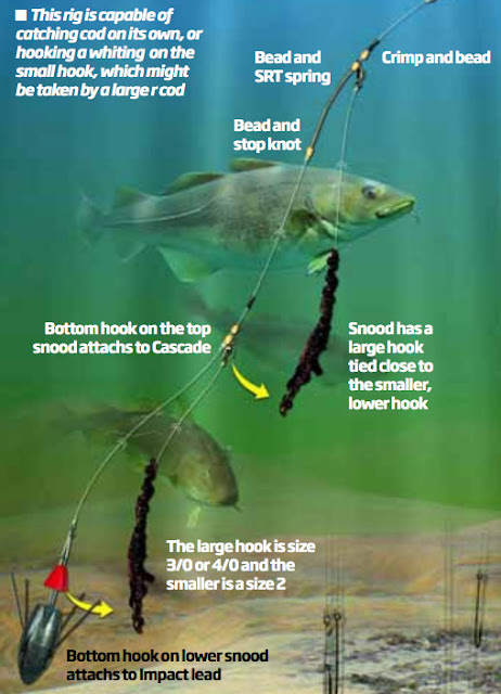 Catching Winter Cod on Rough Ground