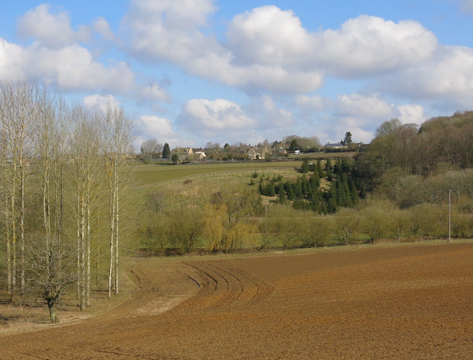 Walks among Flowers: Oxfordshire: Evenlode Valley