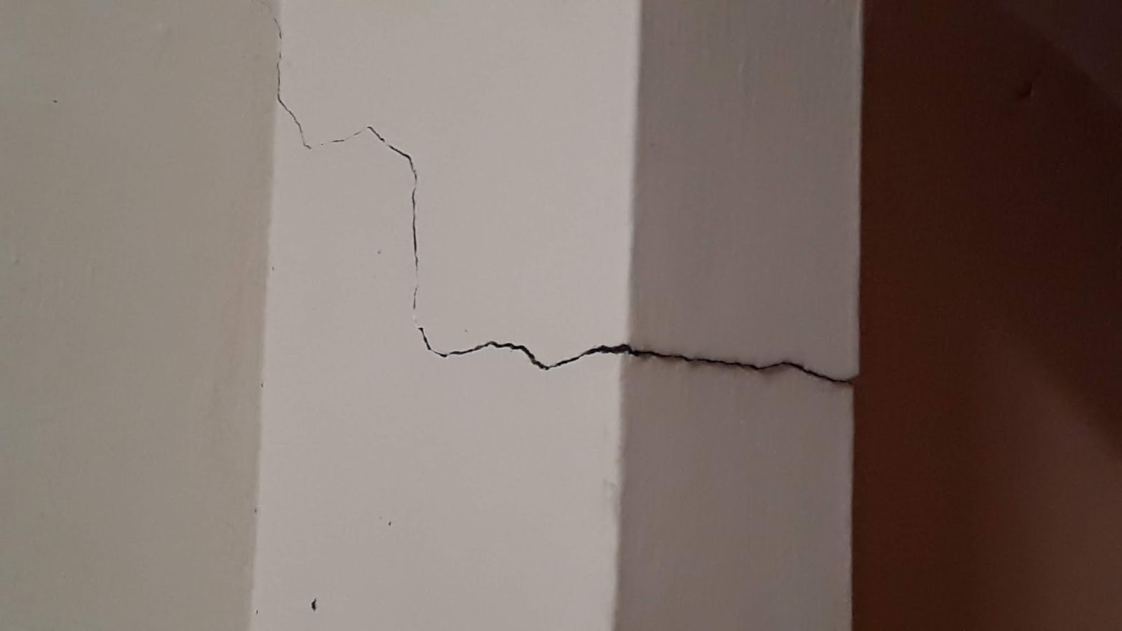 Câmera Nervosa: 2019