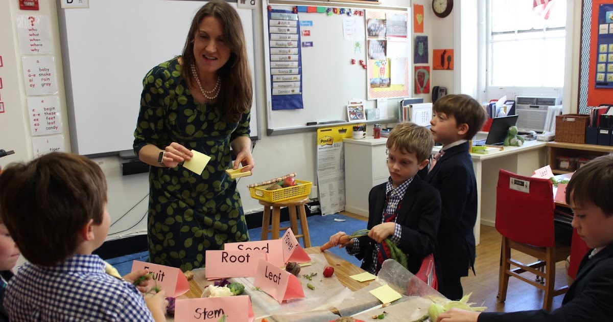 No Such Thing as Vegetables