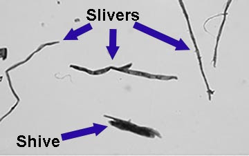 Slivers and Shives - Troubleshooting Paper Defects