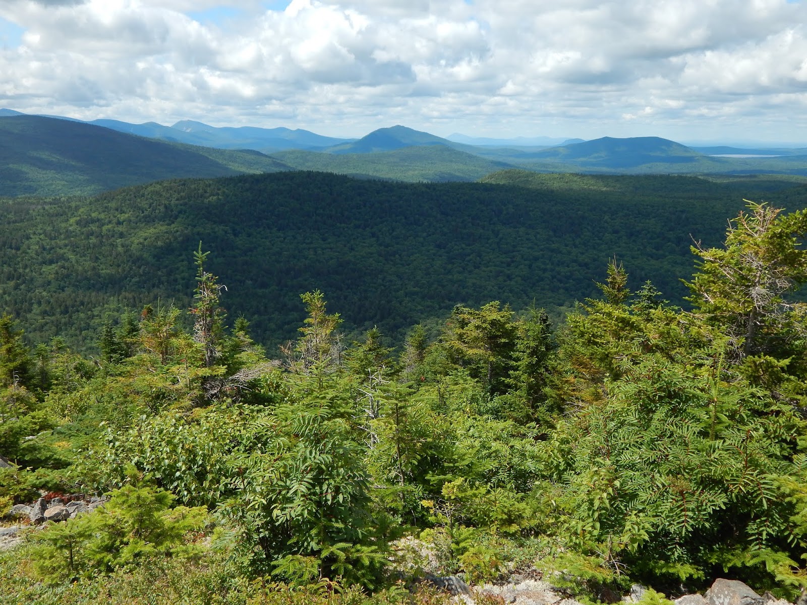 EvanHikes: An Overlooked Summit: Black Cat Mountain