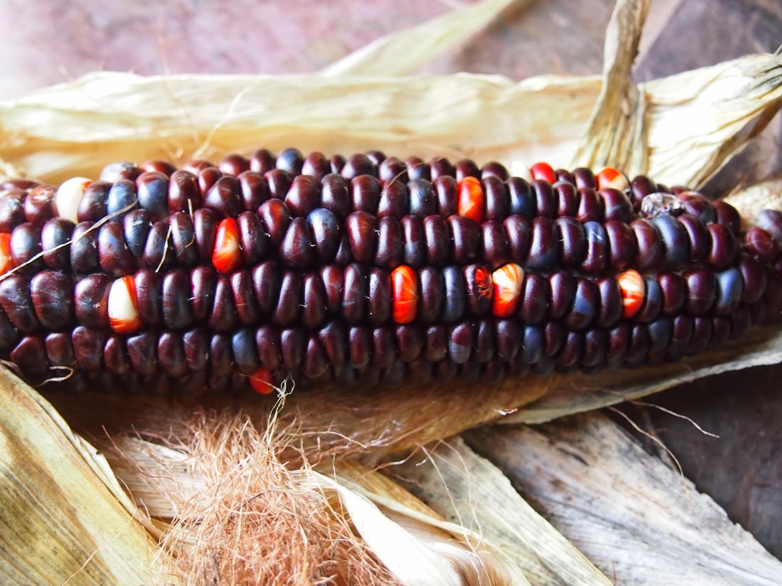 Ntoto (Earth) No Life Without Her!: Massango / Maiz : Sacred Tratado ...