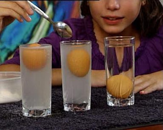 Mess-Cipes: Inspiration for Early Childhood: Easy Egg Float Experiment