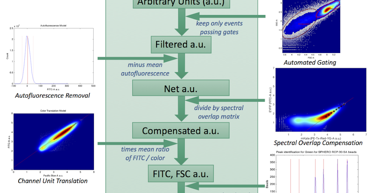 Jake Beal's Next Step: Down in the weeds with flow cytometry