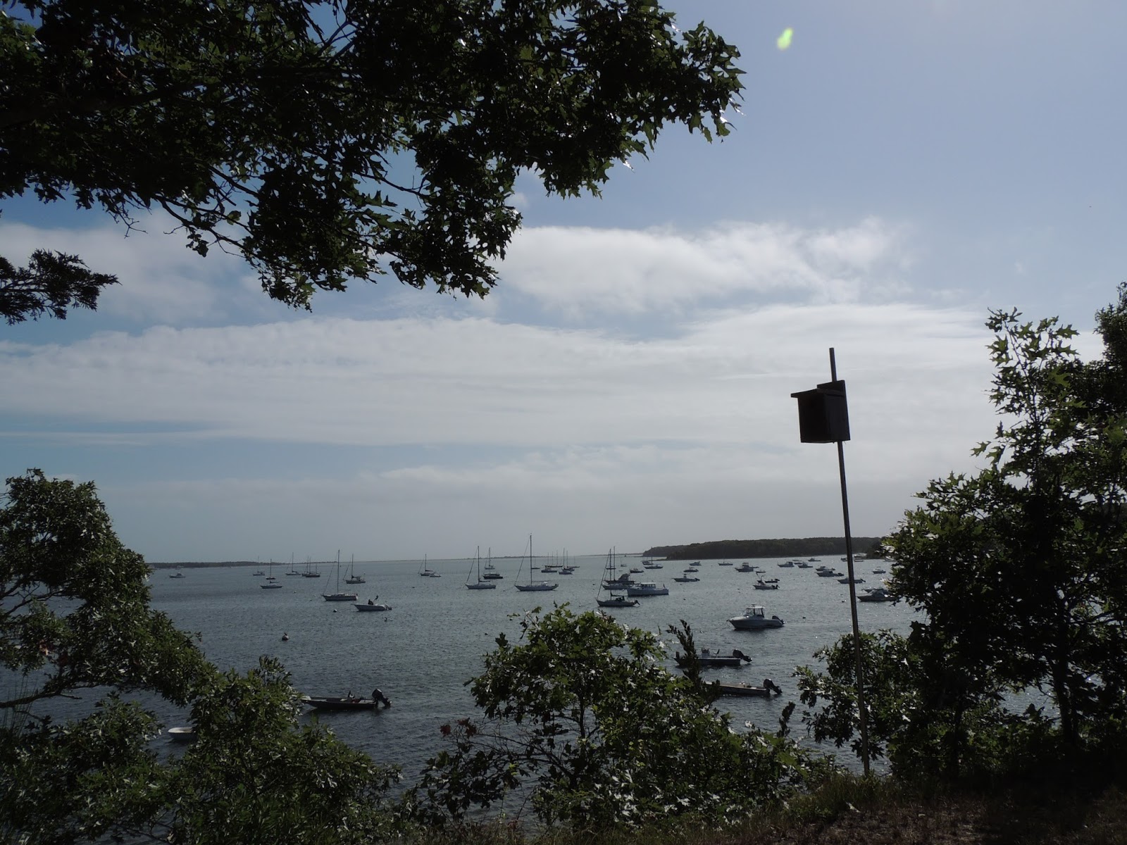 From Camping to Glamping: Cape Cod Waquoit Bay Reserve