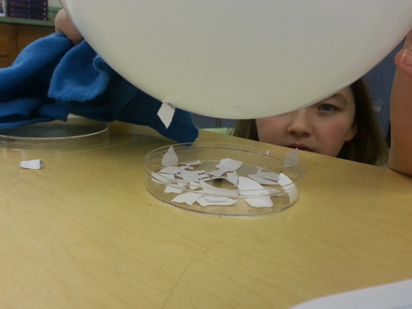 Schneider Science : Static Electricity