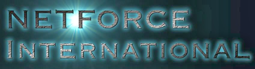 Net Force International - International Web Designers - Google ...