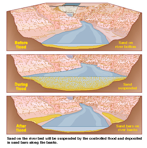 Arizona Geology: Controlled floods, Colorado River beaches, and power ...
