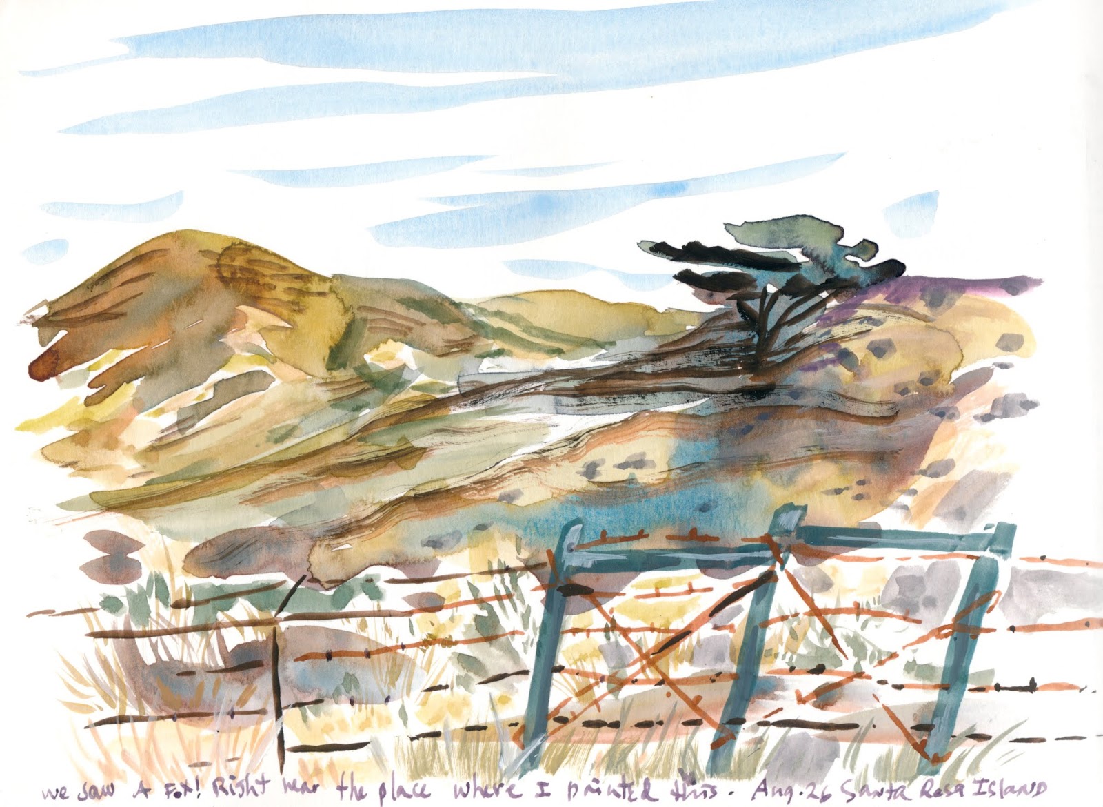 Apple-Pine: Sketching Trio at the Channel Islands National Park