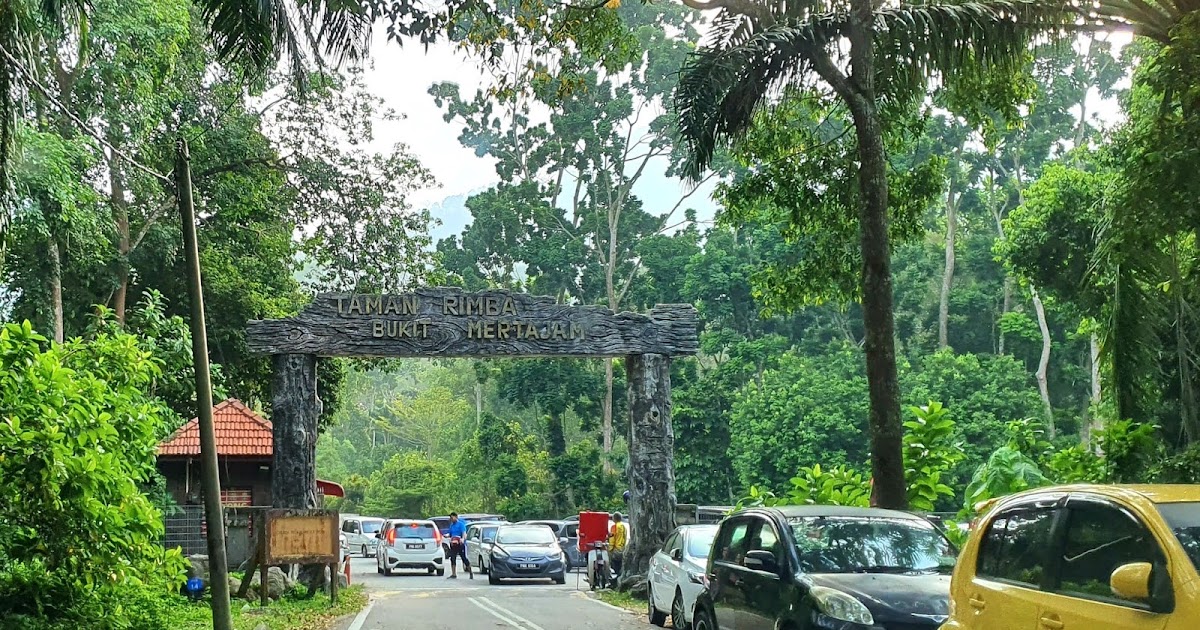 Titian Perjalanan : Taman Rimba Bukit Mertajam | Bukit Cherok Tokun
