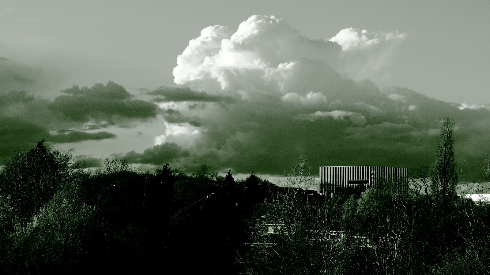 Malcolm Woolf Photography