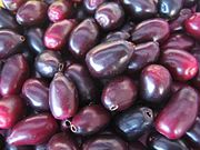 MANFAAT BUAH JAMBLANG UNTUK KESEHATAN - TIPS MANFAAT HERBAL DAN TIPS ...