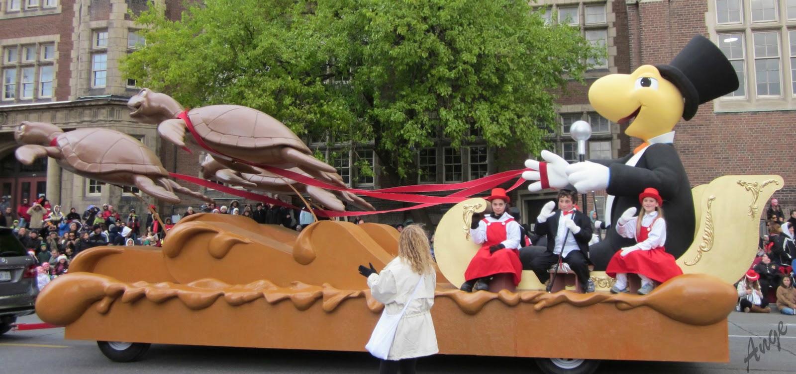 ~The Daily Turtle~: #299 Turtle Float