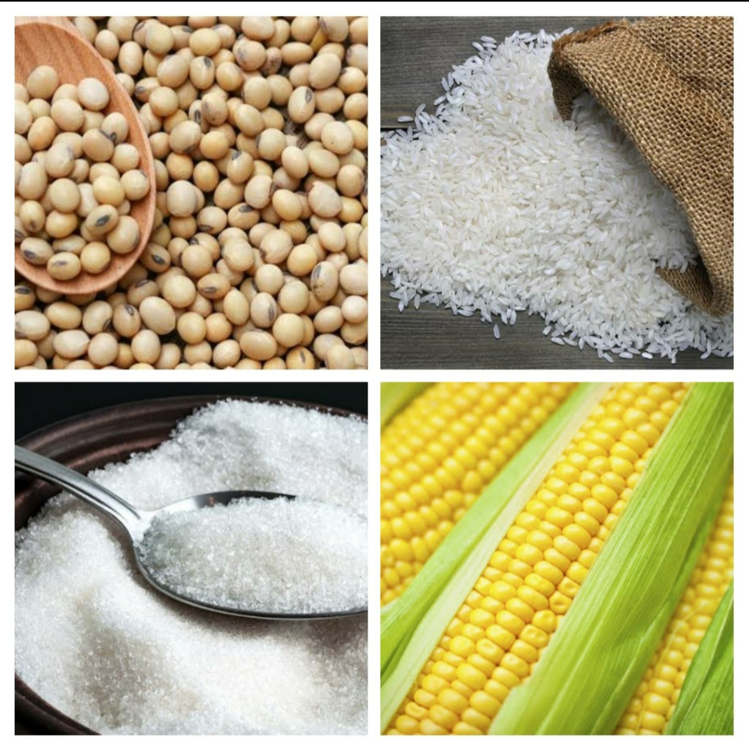 RICE / SUGAR / GRAIN / SOYABIN
