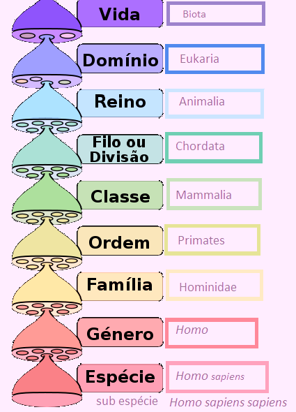 Portefólio de Biologia e Geologia: Março 2015