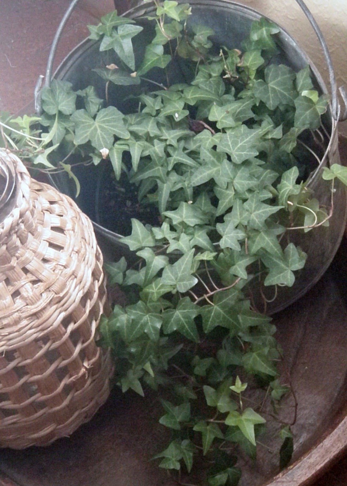 Cabin & Cottage : A Soft Day~And A Few Irish Sayings