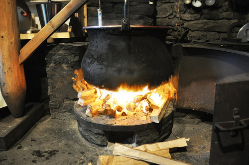 History, Lore and Magic of Basil