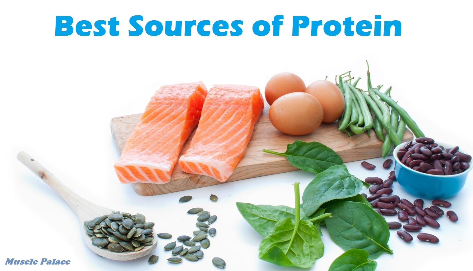 Muscle Palace: Foods that are Best Sources of Protein